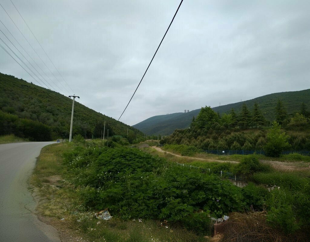 Piknik alanı Cenederesi Mesire Yeri, Derince, foto