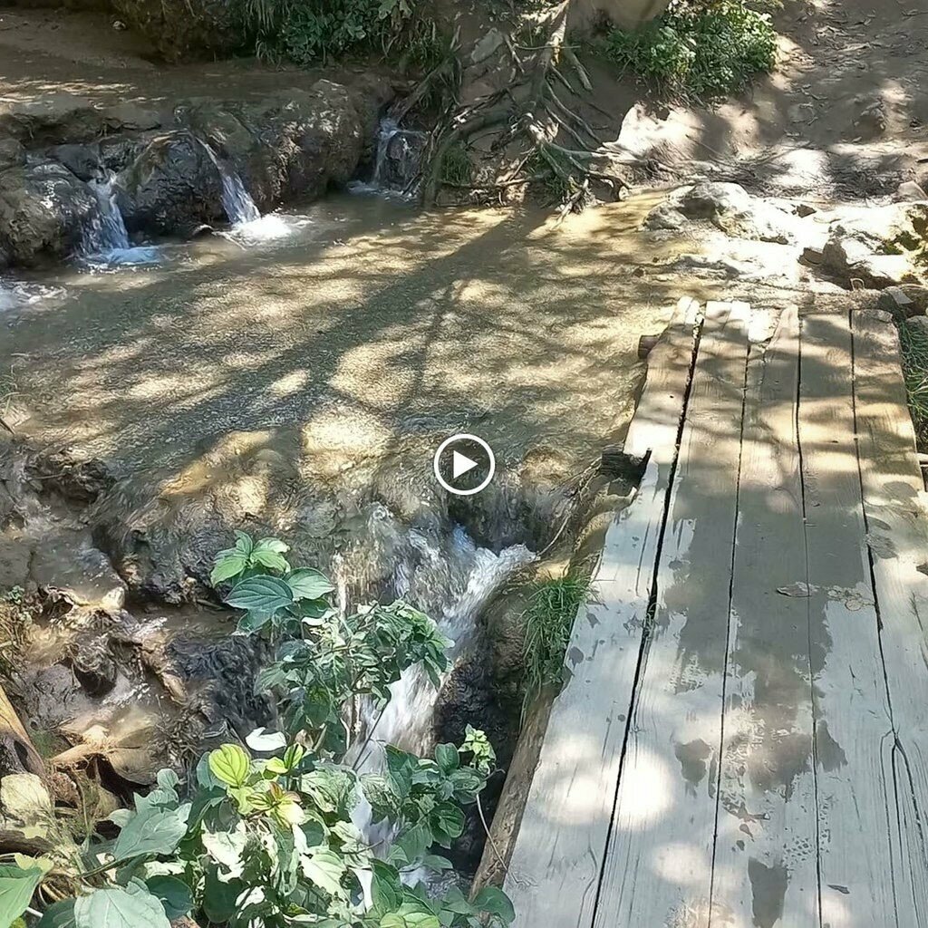 Piknik alanı Şelale Mesire Yeri, Pazar, foto