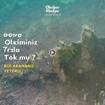 Oksijen Medya (Eski Kuyumcular Mah., Milli Kuvvetler Cad., No:69, Karesi, Balıkesir), web tasarım hizmetleri  Balıkesir'den