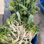 Urla Yeşil Ürünler (İzmir, Urla, Kuşçular Mah., 8027 Sok., 35A), market  Urla'dan
