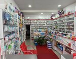Cinkara Eczanesi (Yeni Mah. Hükümed Cad. 87/b Andırın, Andırın, Kahramanmaraş), eczaneler  Andırın'dan