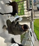 Oykü Veteriner Kliniği (Edirne, Edirne Merkez, Şükrüpaşa Mah., Vitrin Edirne Sitesi, C Blok), veteriner klinikleri  Edirne'den