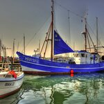 Flying Fish Altinkum (-), geziler  Dünya'dan