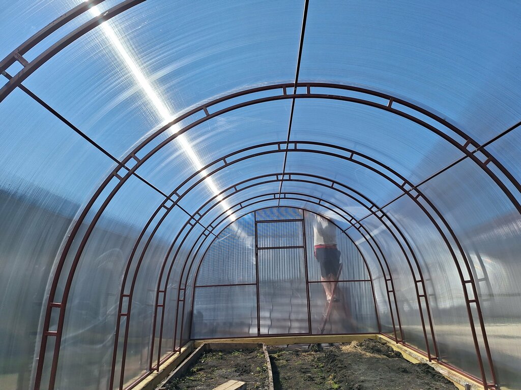 Sera ekipmanları Кузбасские Теплицы, Prokopyevsk, foto