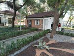 Bornova Belediyesi Kedi Kliniği (İzmir, Bornova, Fevzi Çakmak Cad., 40), veteriner klinikleri  İzmir'den