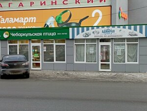 Адмирал (prospekt imeni Yu.A. Gagarina, 1-ya liniya No:19А/1), kafe  Zlatoust'tan