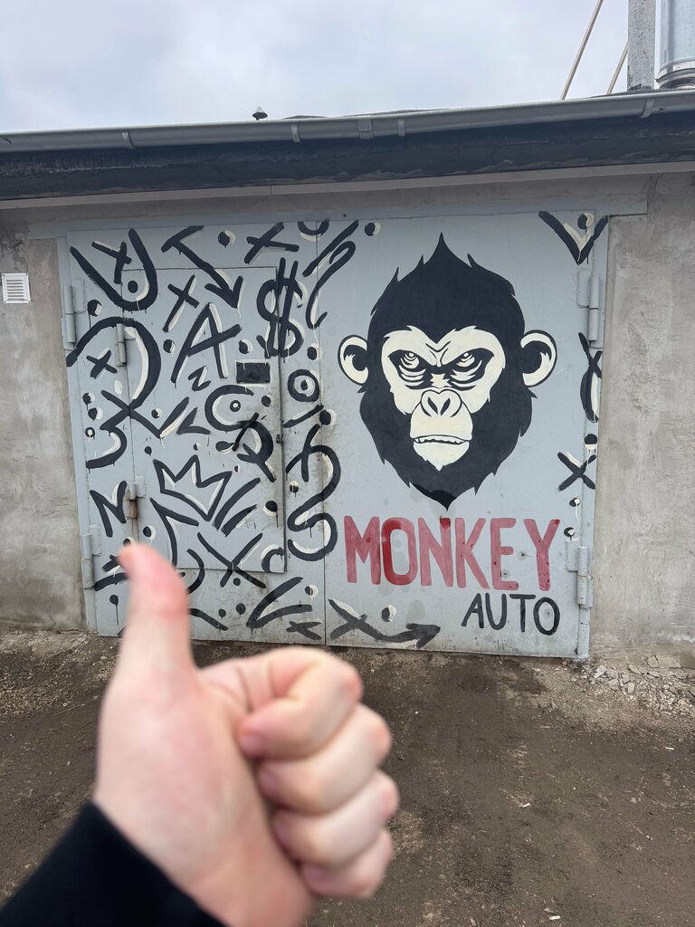 Otomobil servisi Манки Авто, Lipetsk, foto