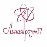 Liniya rozy (Kalinina Street No:10), çiçekçiler  İvanovo'dan
