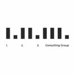 1.2. 3. Consulting Group (Zhdanovskaya Street No:45), mali denetleme şirketleri  Saint‑Petersburg'dan