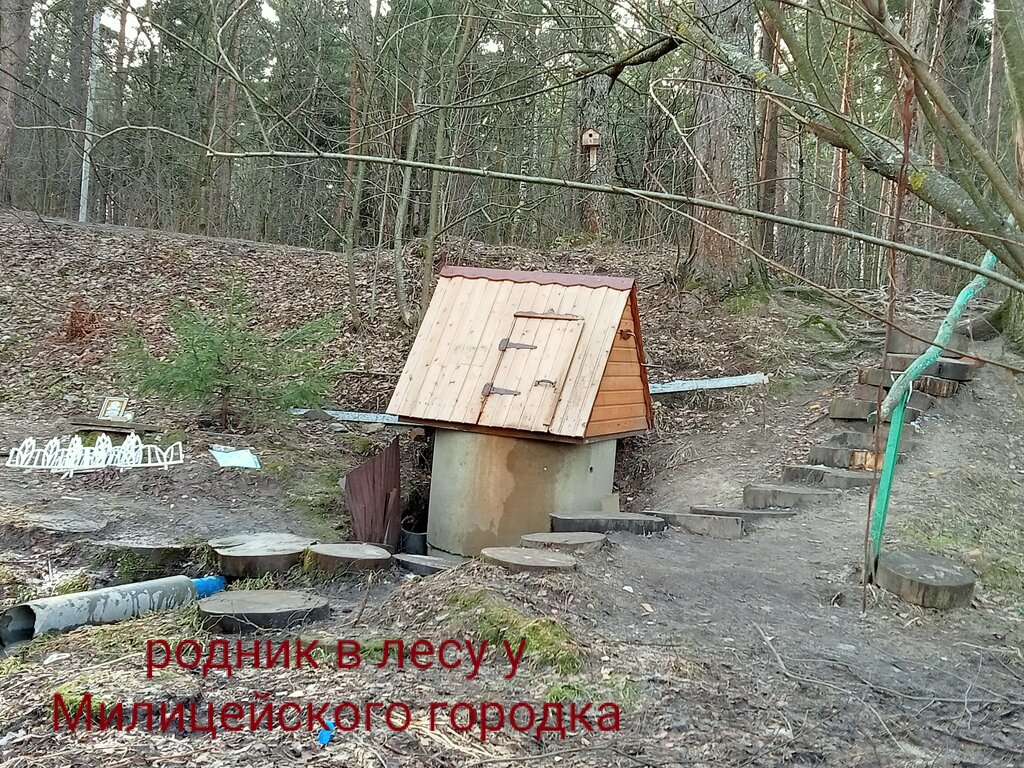 Pınar, çay Spring, stream, İvanteyevka, foto