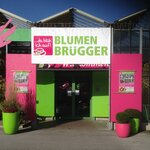 Blumen Brügger (Zum Steingrund No:1, Marsberg), çiçek teslimatı  Marsberg'den