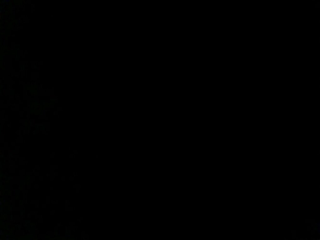 i̇nşaat malzemeleri toptan Дачный сезон, Saint‑Petersburg, foto