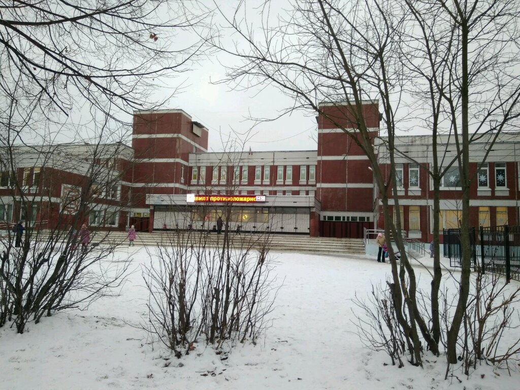 Fen lisesi, sosyal bilimler lisesi Gbou Gymnasium № 399, Saint‑Petersburg, foto