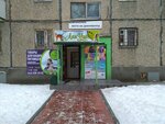 Самоделкин (Akademika Bardina Street No:11к1), dekoratif kaplama hizmetleri  Yekaterinburg'dan