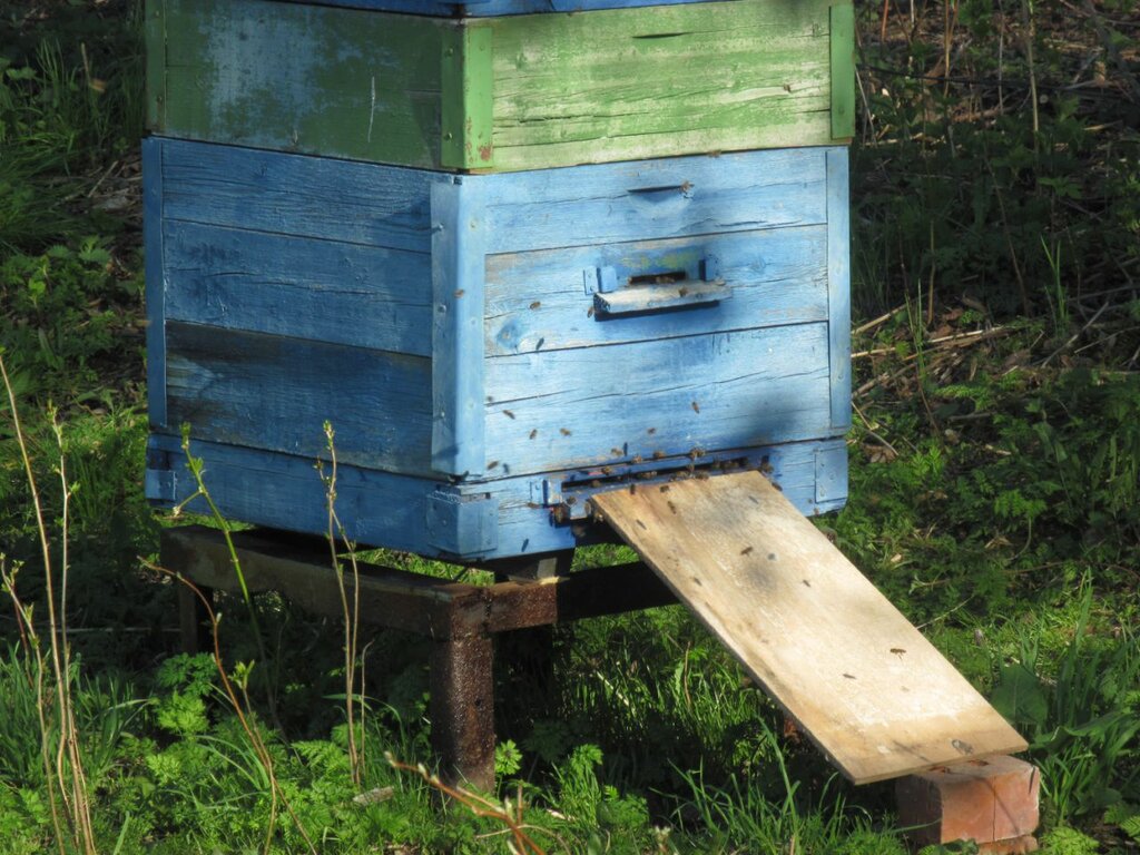 Bal ve arıcılık firmaları Med ot Mishi, Tulskaya oblastı, foto