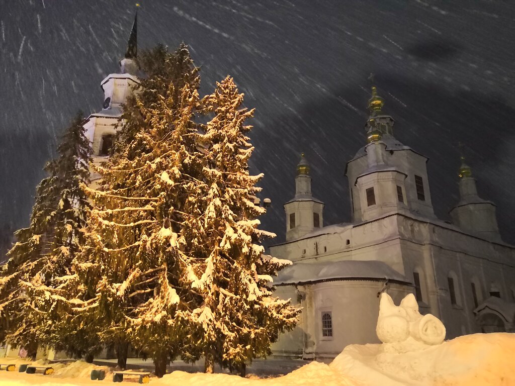 Ortodoks kiliseleri Church of the Life-Giving Trinity, Arhangelskaya oblastı, foto