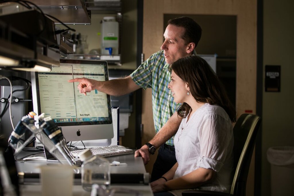 Web tasarım hizmetleri Okello, Solneçnogorsk, foto