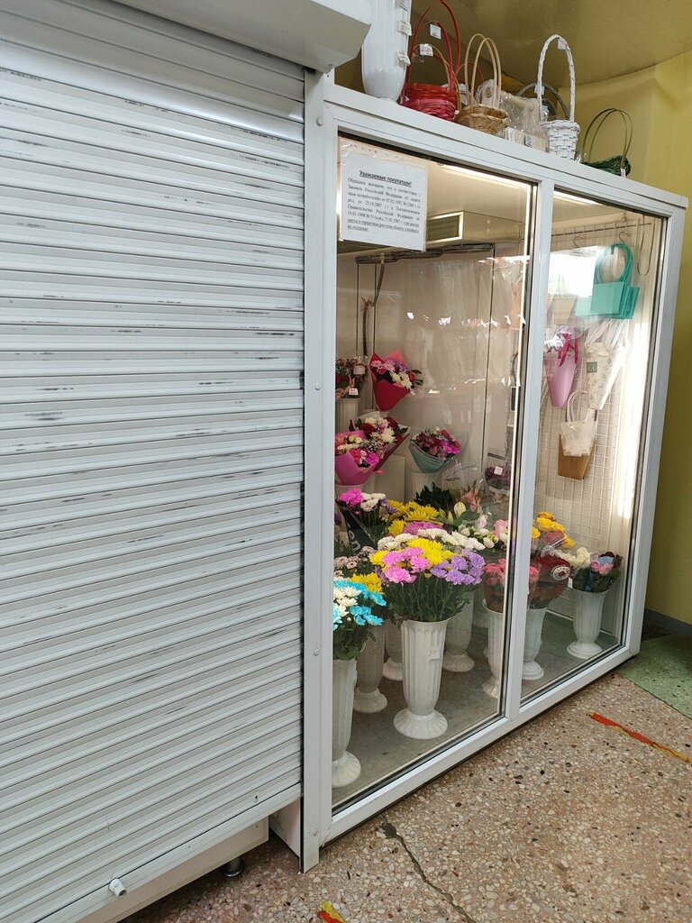 Petshop ZooLend, Tixvin, foto