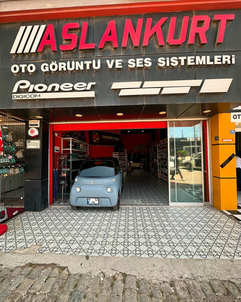 Otomobil yedek parçaları Aslankurt Oto Görüntü Ve Ses Sistemleri, Gemlik, foto