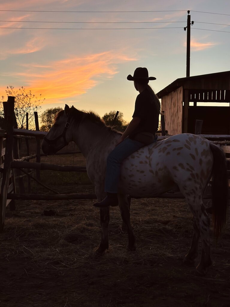 Hayvancılık Riverside Family Ranch, Riazanskaya oblastı, foto
