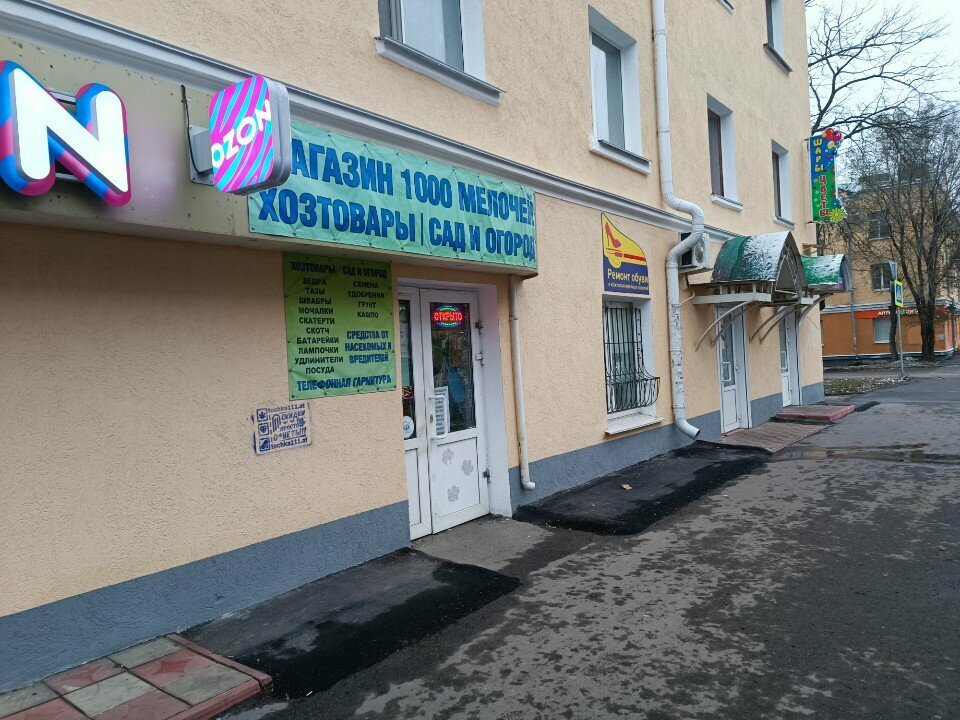 Ev temizlik ürünleri 1000 Мелочей, Penza, foto