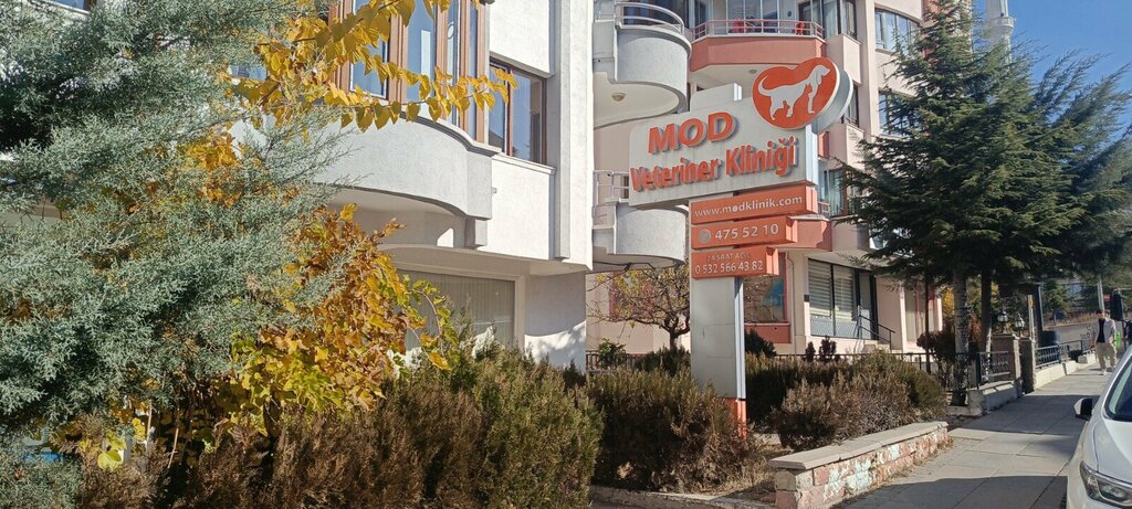 Veteriner klinikleri Mod Veteriner Kliniği, Ankara, foto