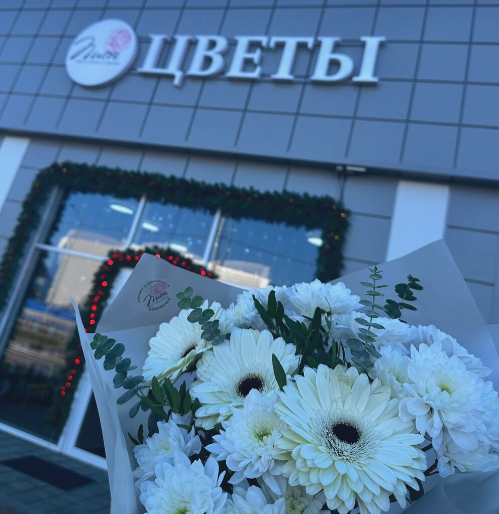 Çiçekçiler Pion, Korenovsk, foto