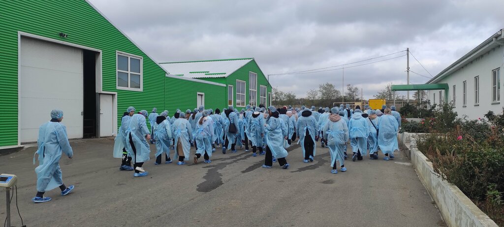 Toptan süt ürünleri КМК Надеждинский, Stavropolski krayı, foto