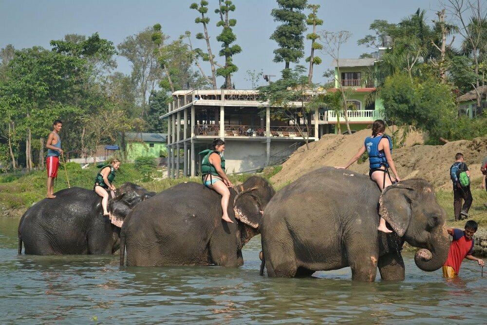 Otel Traveller Jungle Camp, , foto