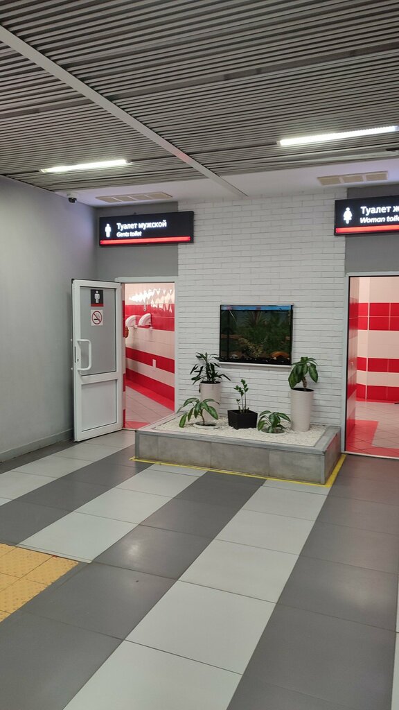 Tuvalet Туалет, Samara, foto