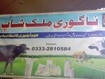 Naghori milk shop (Mehmoodabad Road No:6, Mehmoodabad, Block 9), bebek besleme merkezleri  Karaçi'den