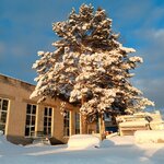 Borisov motors (shosse Barybina No:60Б), otomobil servisi  Tosno'dan