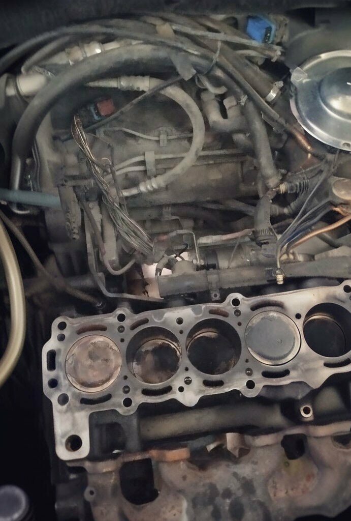 Ekmek fırını Bizim Ekmek Pasta, Çayırova, foto