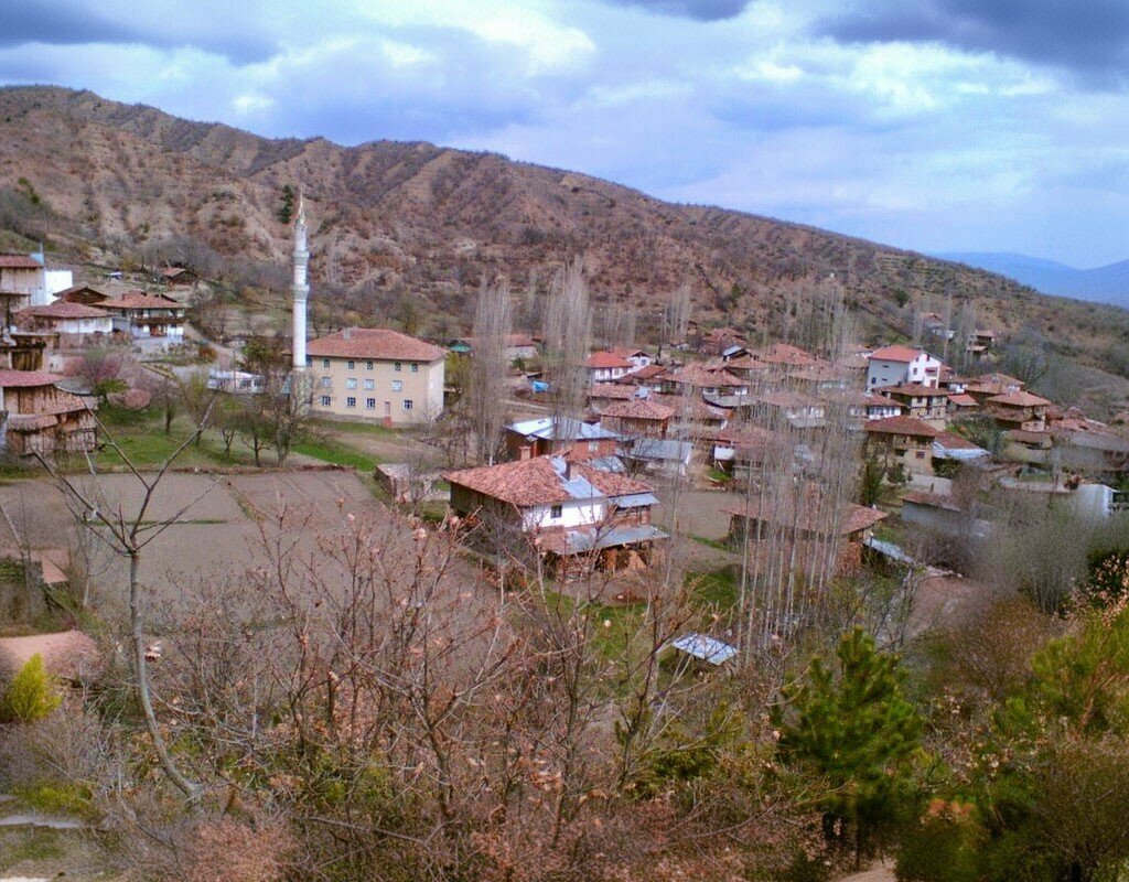 Cami Çifter Köyü Cami, Tosya, foto