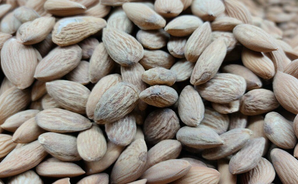 Market Damak Kuruyemiş, Polatlı, foto