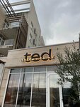 Ted Restaurant (Parusnaya Street No:7, Urban-Type Settlement of Sirius), restoran  Krasnodarski krayından