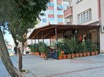 Nöbetçi Kütüphane Noyan Esen Şubesi (Adana, Çukurova, Mahfesığmaz Mah., Damar Arıkoğlu Blv., 48), kütüphaneler  Adana'dan