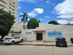 Pasitos Maternal and Preschool Garden (Santa Cruz de la Sierra, Distrito Municipal 1, Subdistrito 33, Calle 7 Oéste), evcil hayvan yetiştiricileri  Santa‑Krus'tan