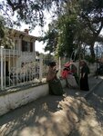 Büyükada (-), i̇skele, liman, gemicilik firmaları  Dünya'dan