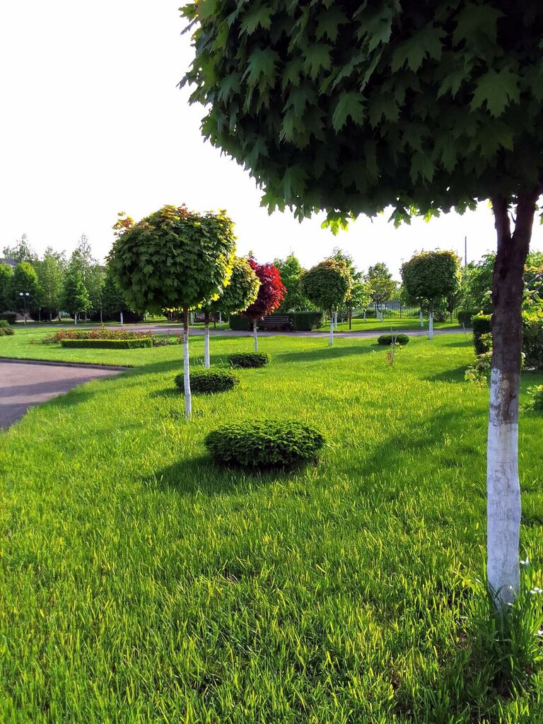 Kültür ve eğlence parkları парк культуры и отдыха, Stavropolski krayı, foto