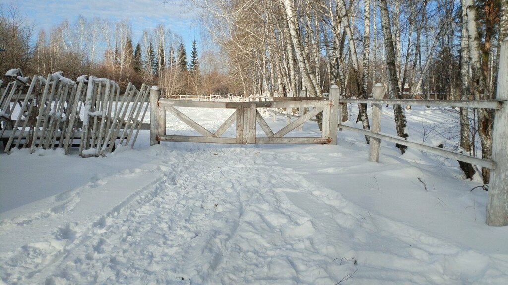 At ve binicilik kulüpleri Конно-спортивный клуб Советского района, Открытый манеж, Novosibirsk, foto