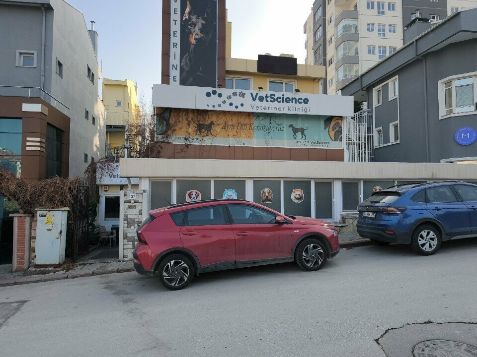 Veteriner klinikleri VetScience, Ankara, foto