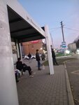Школа № 2 (Krasnodar Territory, Belorechensk, ulitsa Lenina), toplu taşıma durağı  Beloreçensk'ten