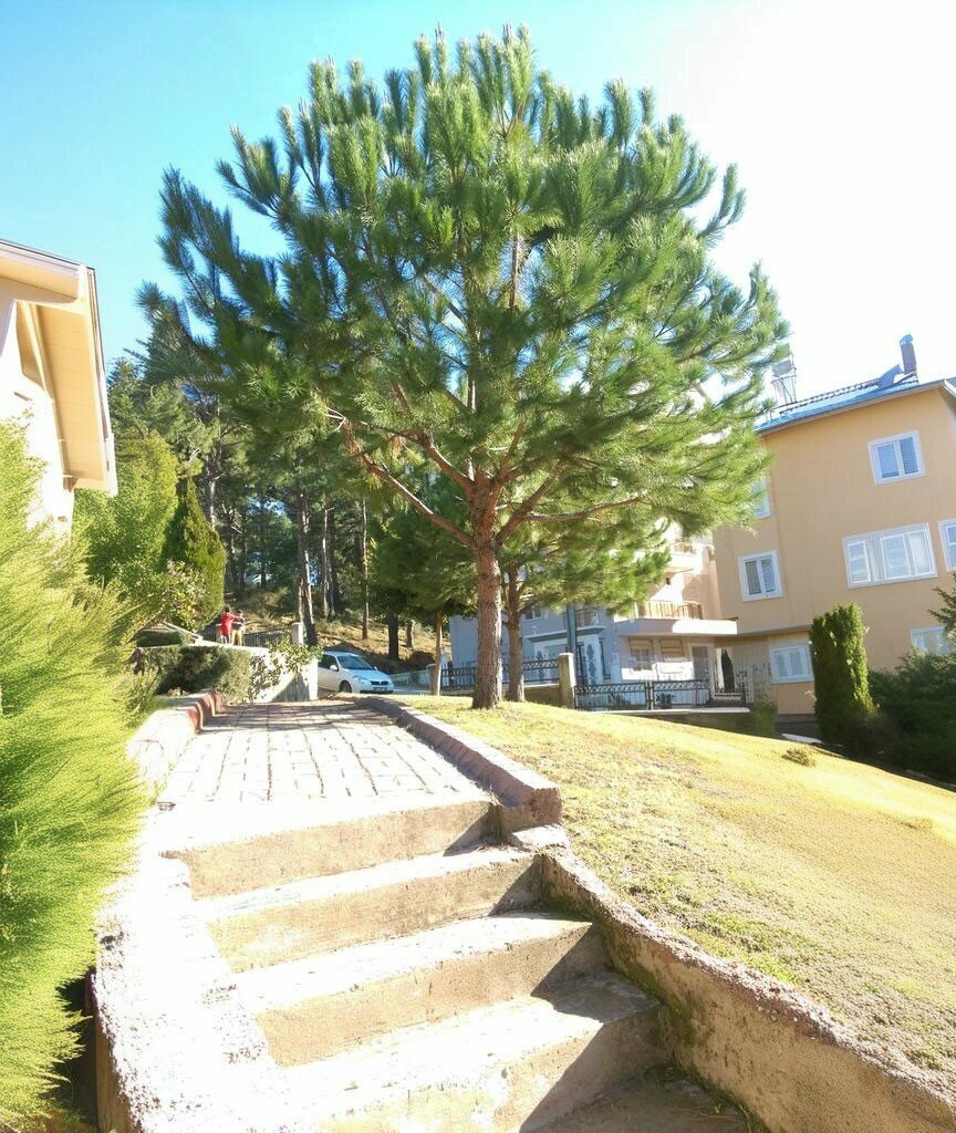 Kültür ve eğlence parkları Yörük Kasap Mehmet Parkı, Manavgat, foto