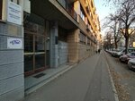 Advokat (Ulica Maksima Gorkog No:3), avukatlar  Novi Sad'dan