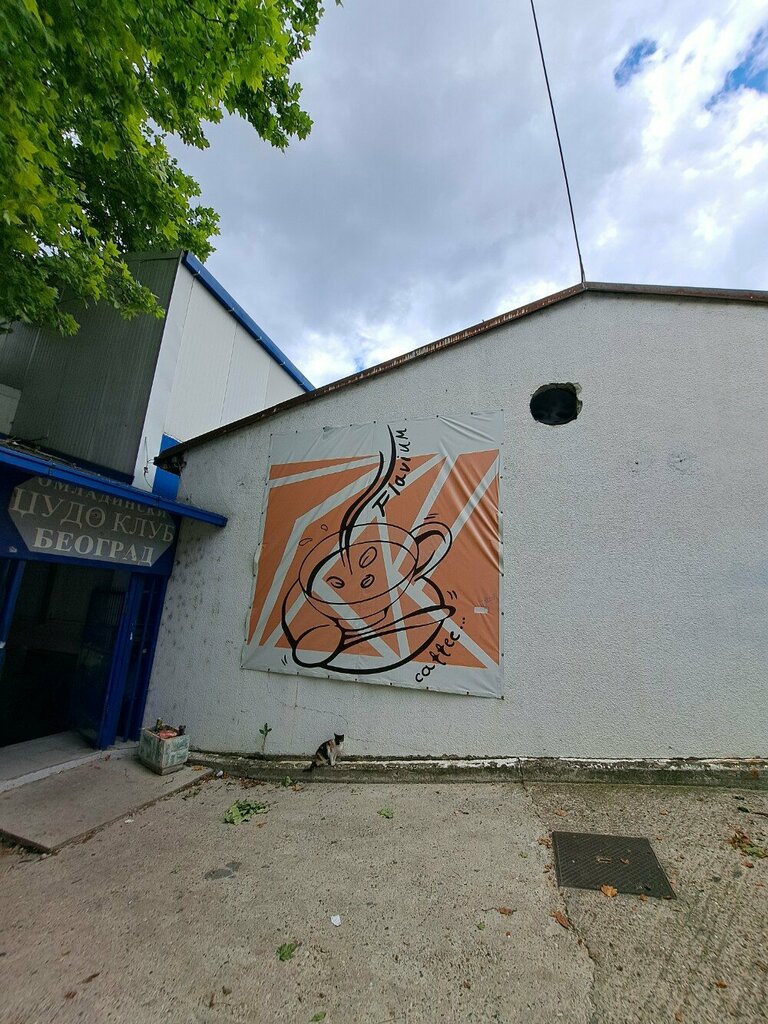 Kahve dükkanları Flavium Caffee, Belgrad, foto