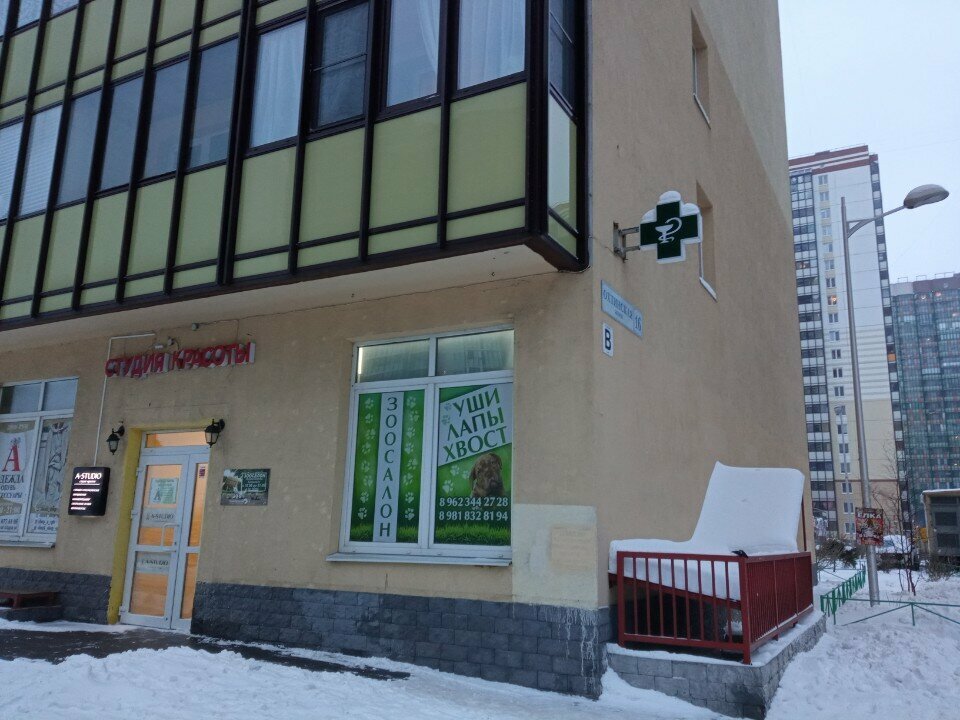 Evcil hayvan kuaförleri Уши лапы хвост, Murino, foto