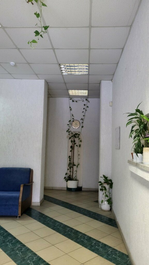 Çocuk gelişim merkezleri Умный Кактус, Minsk, foto