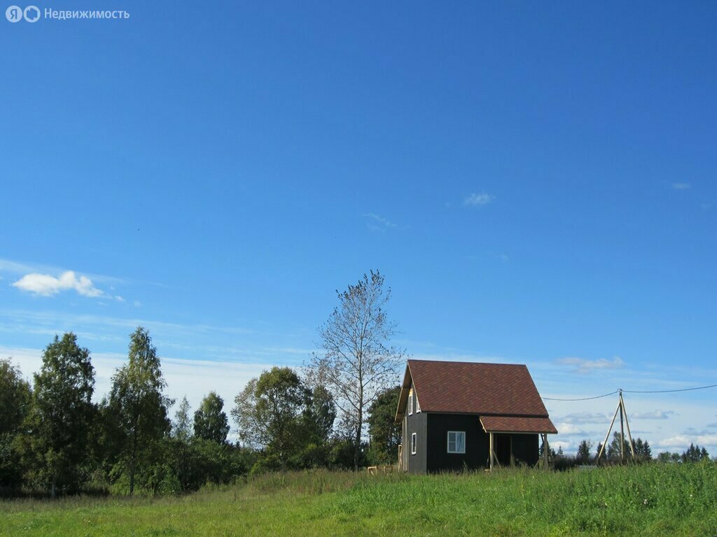 Yazlık yerleşim Лужское-Турово, Saint‑Petersburg ve Leningradskaya oblastı, foto