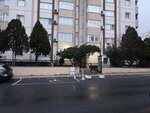 Kiptaş Sitesi (İstanbul, Maltepe, Girne Mah., Madenci Sok., 28), konut blokları  İstanbul'dan